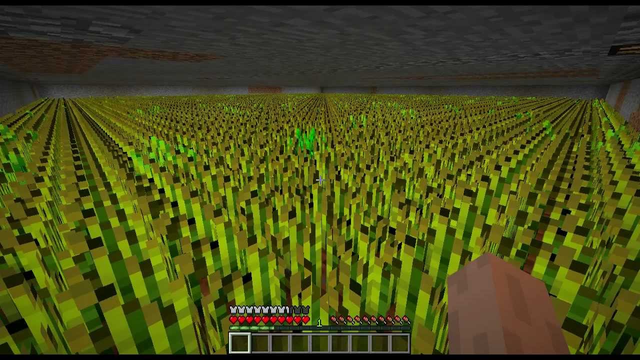 Minecraft wheat farm with redstone lighting - YouTube