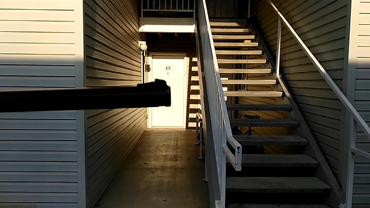 Trying a rifle bee bee gun - YouTube