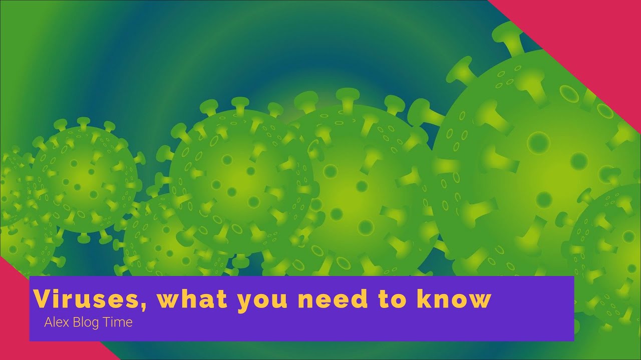 All you need to know about Viruses (new Version) - YouTube