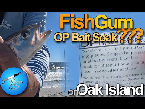 Does Fish Gum OP Bait Soak Work? - YouTube