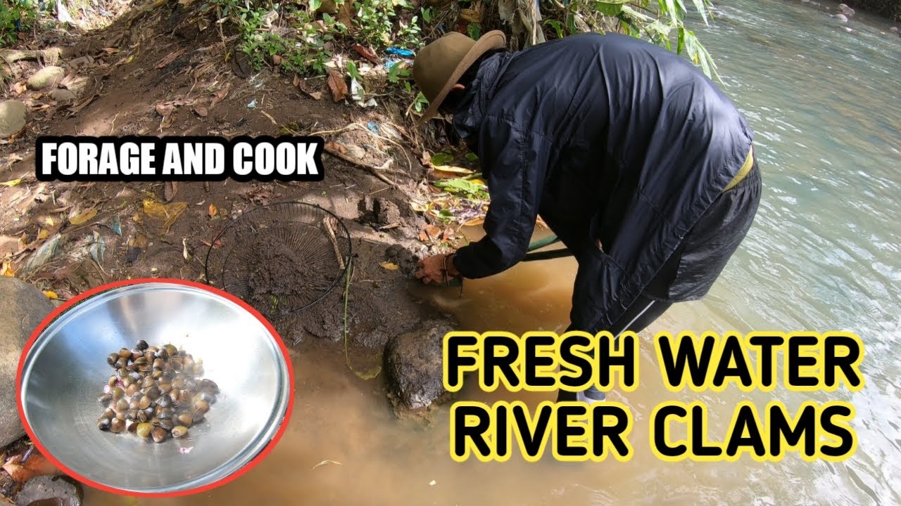 PANGANGAPA NG TULYA SA ILOG FORAGE AND COOK[JUNGLE SURVIVAL] - YouTube