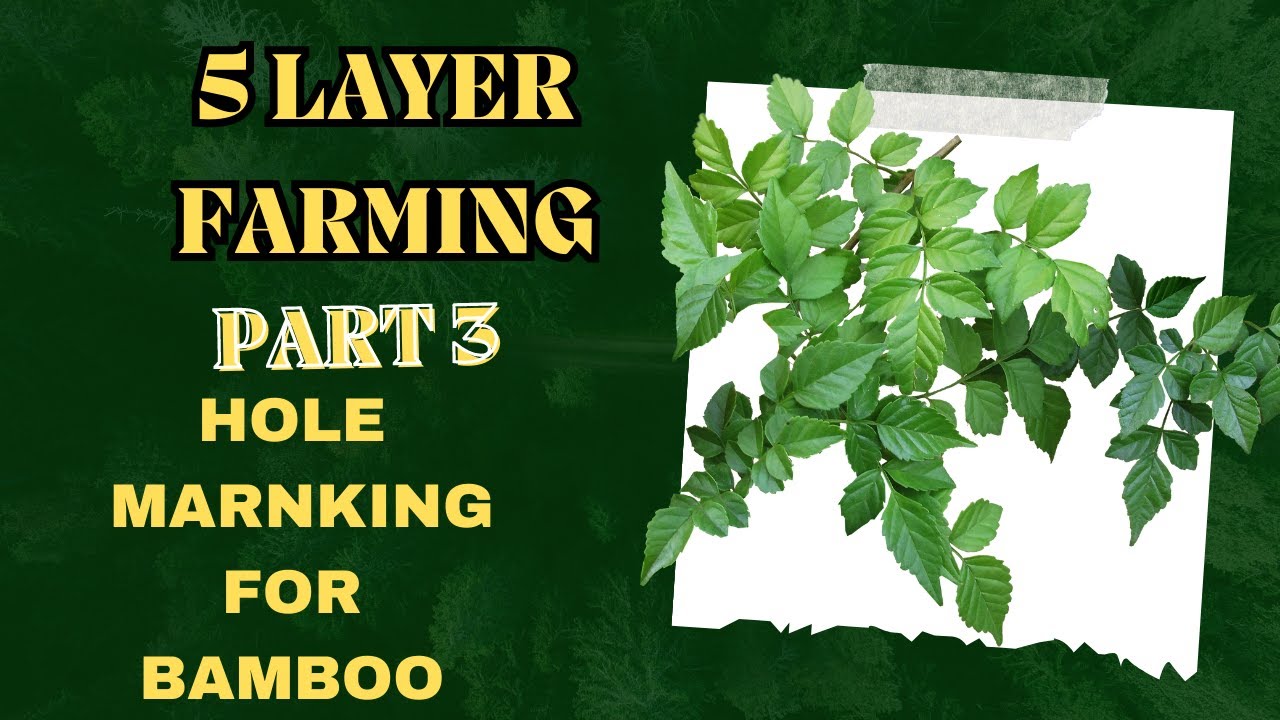 5 LAYER FARMING | 3 PART | चूने की सहायता से गड्डे के लिए निशान लगाए ...