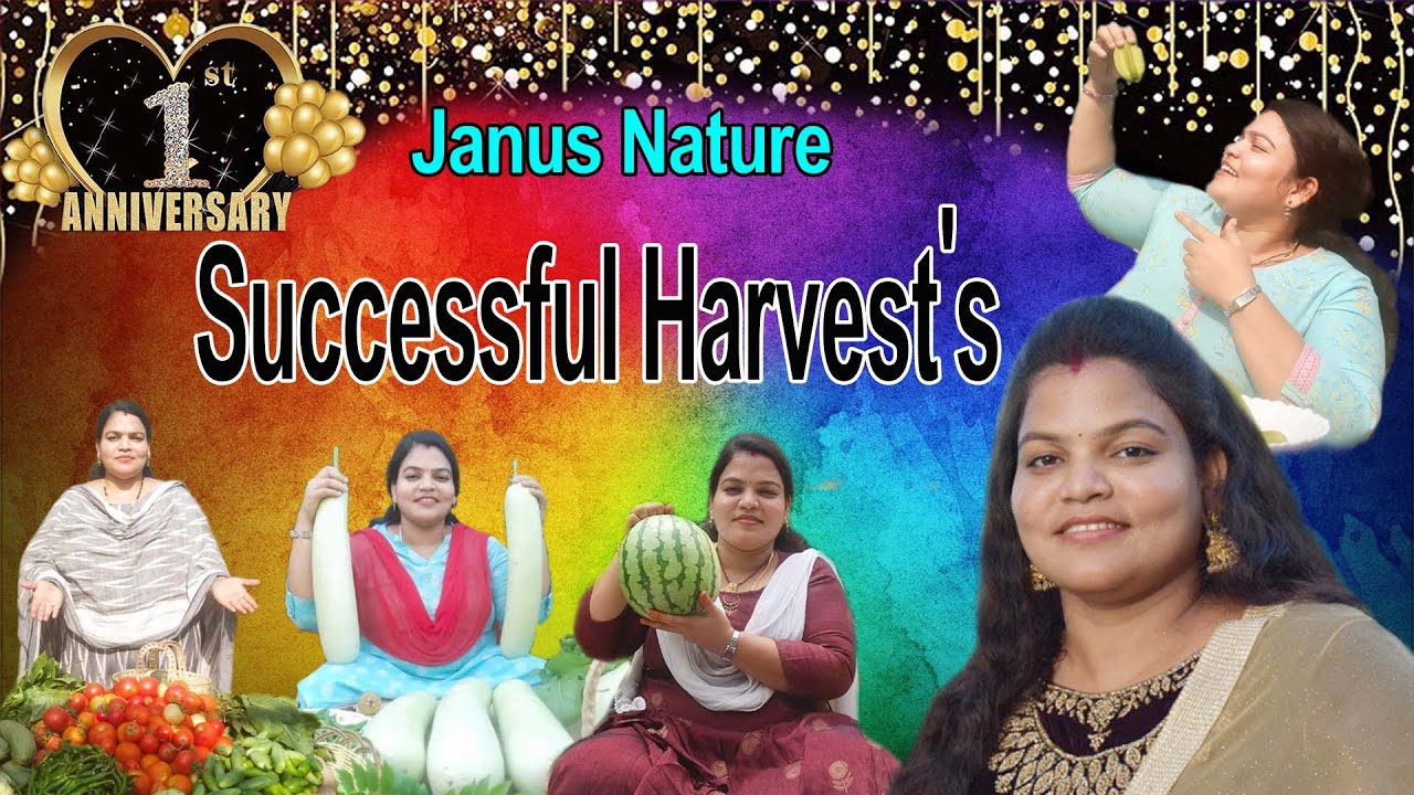 టెర్రస్ గార్డెన్ లో సాదించిన విజయాలు | successful Harvest's | 1st ...