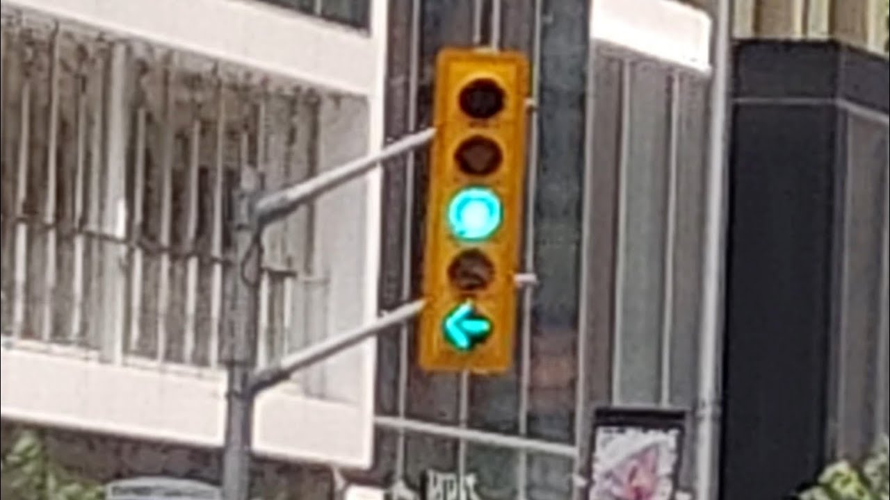 New 5-Section Programmable Visibility Signal Head for Southbound at Bay ...