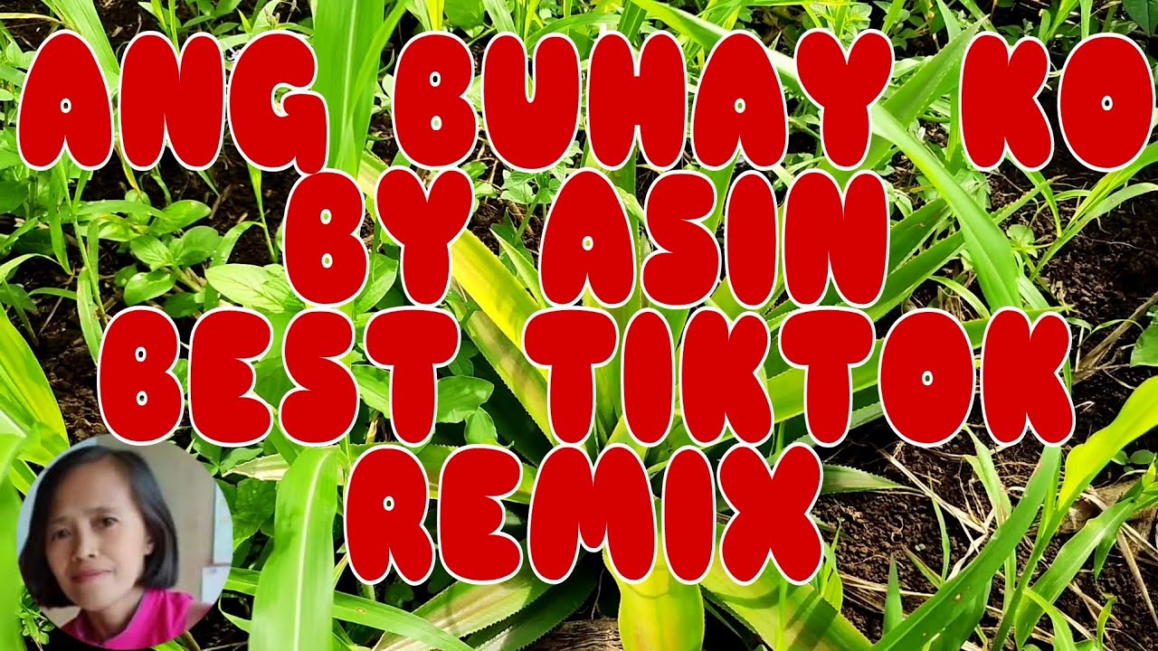 ANG BUHAY KO BY ASIN | BEST TIKTOK REMIX - YouTube