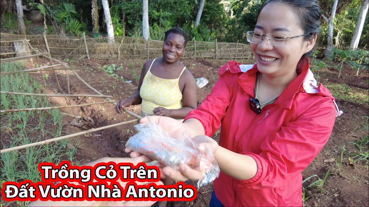 Maria Hoang mang khi 2Q đòi trồng cỏ trong vườn vì lý do này - YouTube