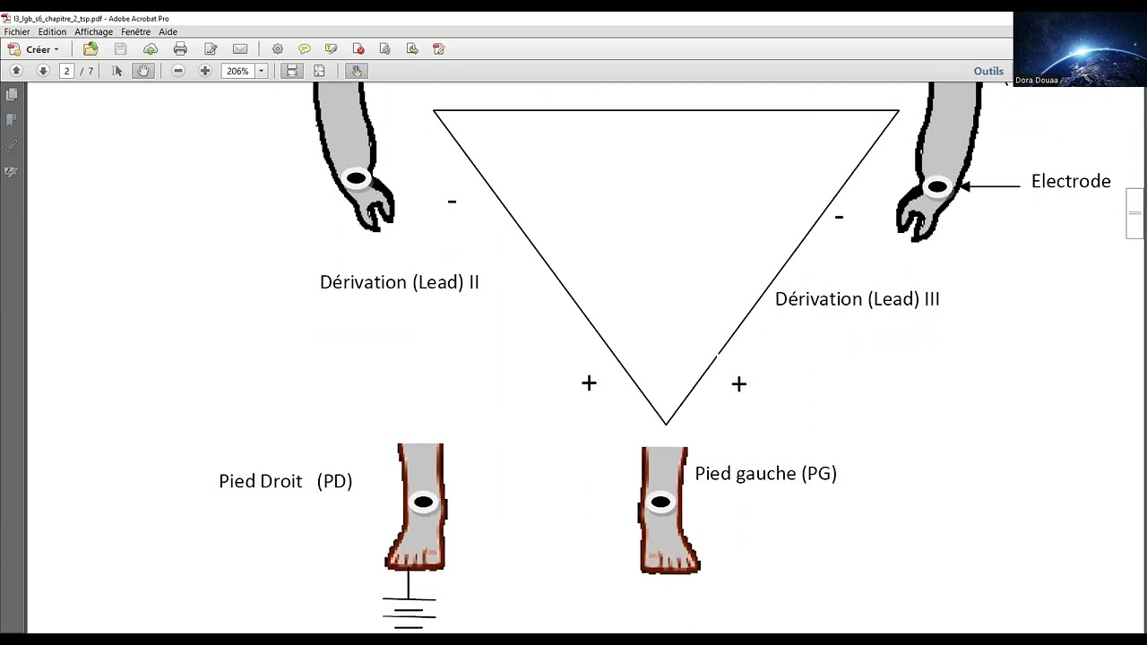chapitre2 : Mesures des signaux physiologiques: Traitement du signal ...