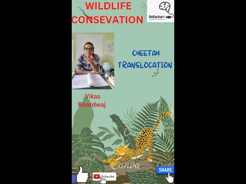 WILDLIFE CONSERVATION - YouTube