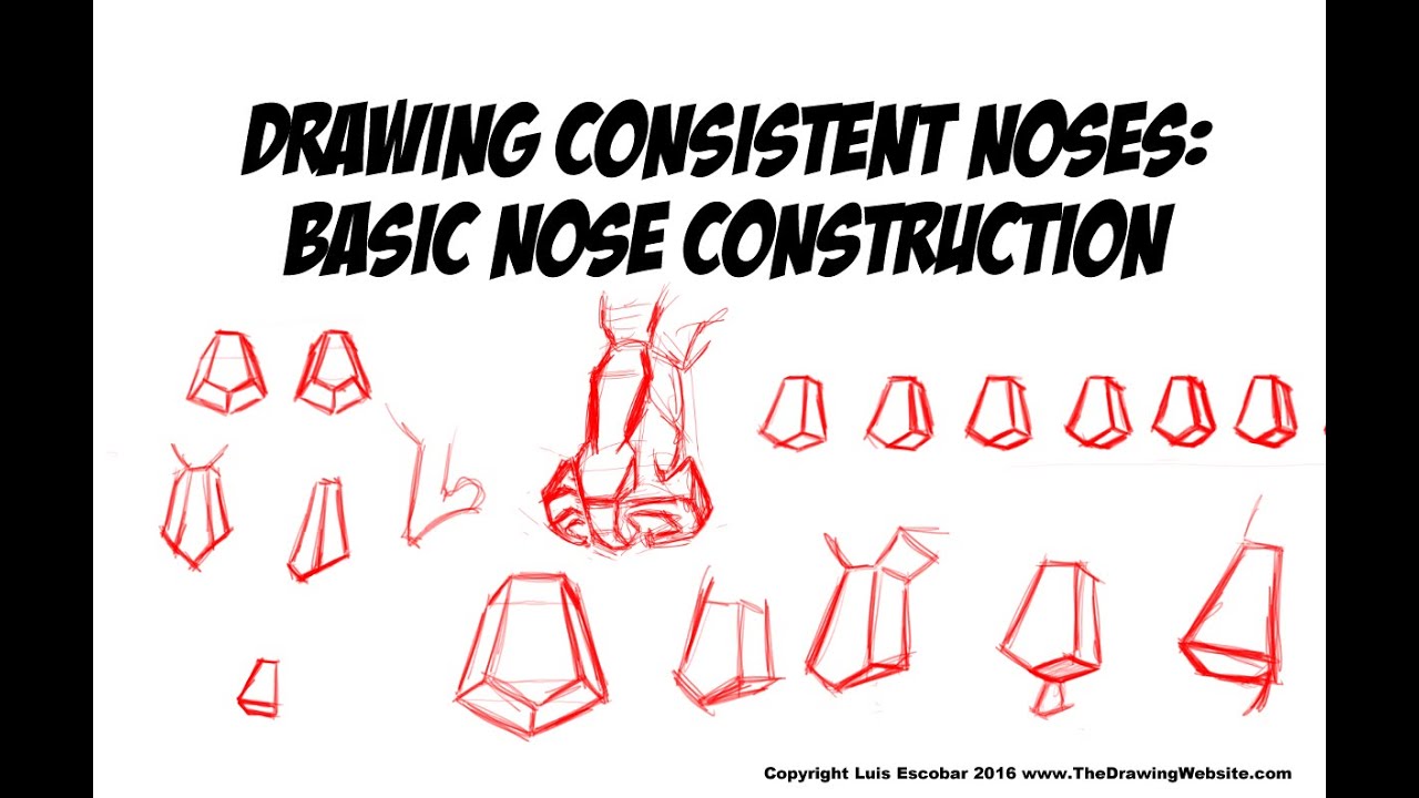 Drawing Consistent Noses - Basic Nose Construction - YouTube