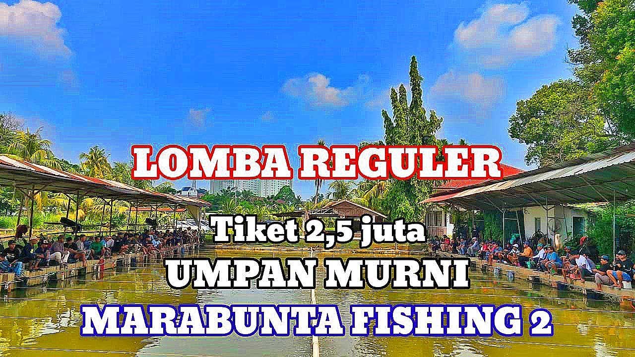 LOMBA REGULER UMPAN MURNI MARABUNTA FISHING 2 TAMBOK LOBU !!! - YouTube