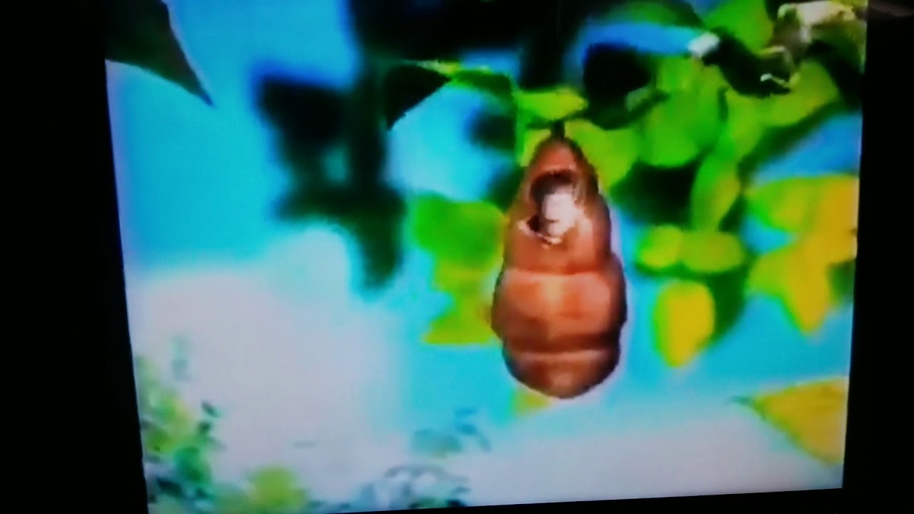 McDonald's Butterfly - YouTube
