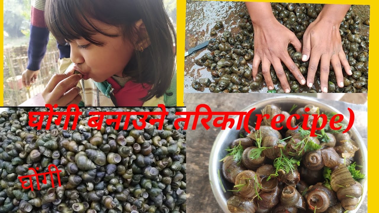 Ghoongi//recipe of ghoongi//tharu food//village life cooking //ghunri ...