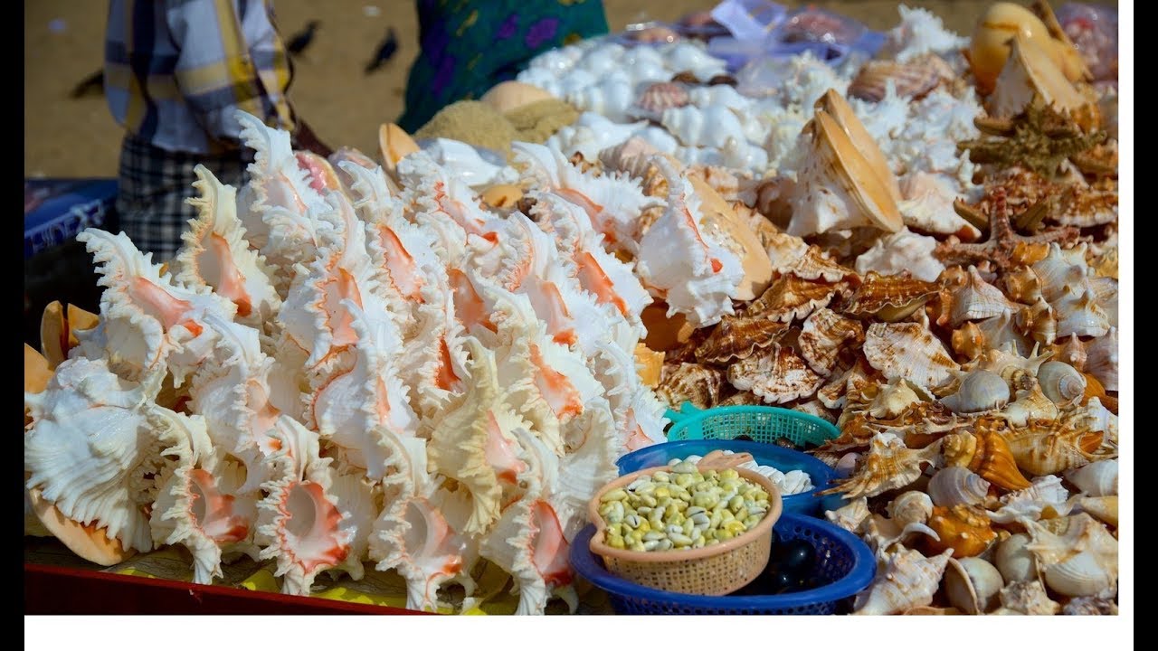 Shopping Stalls At Marina Beach Videos|Marina Beach Stalls Reviews |Sea ...