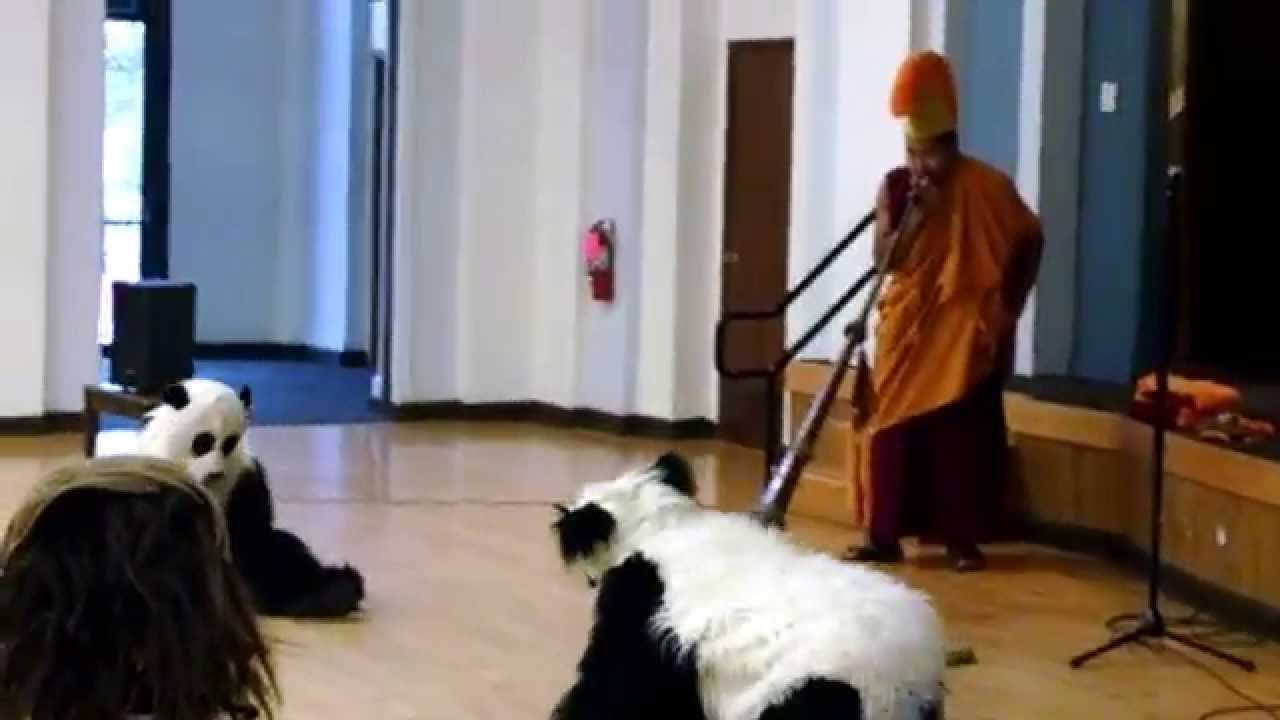 Panda Dance - YouTube