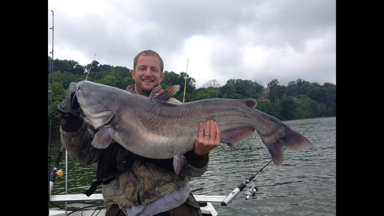 Clients Cancelled, Me and Sam Fish - YouTube