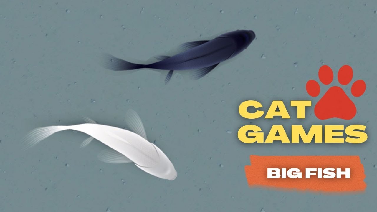 CAT GAMES Game for your cat to catch Big Fish - YouTube