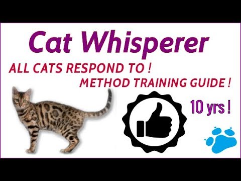 The Cat Whisperer - Cat listening skills 😸 - YouTube