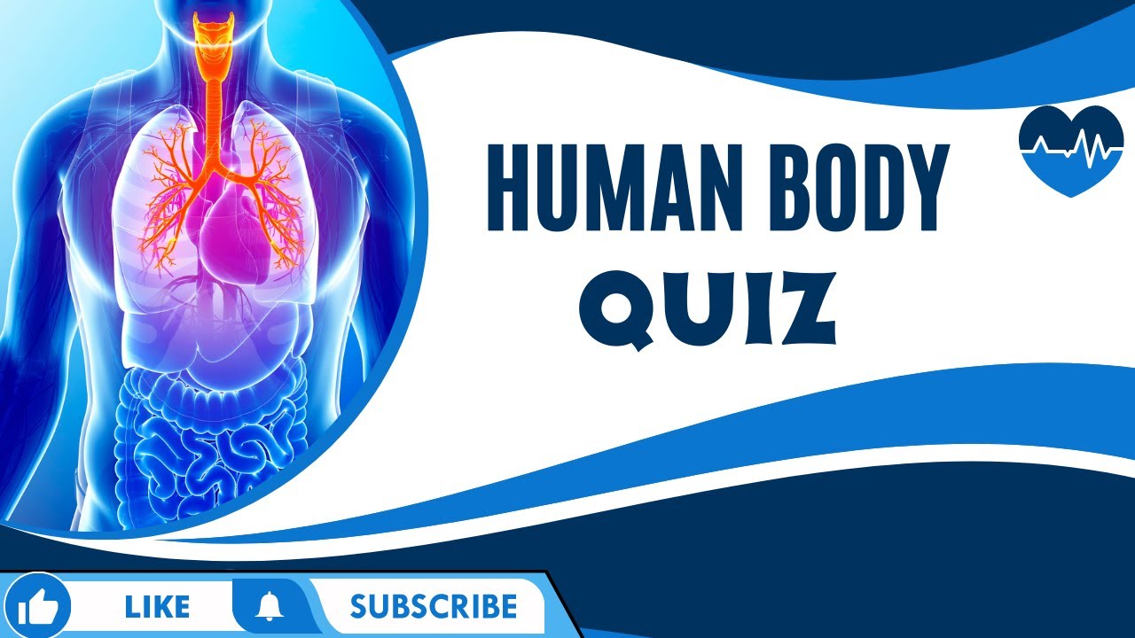 Human Body Quiz! General Knowledge - YouTube
