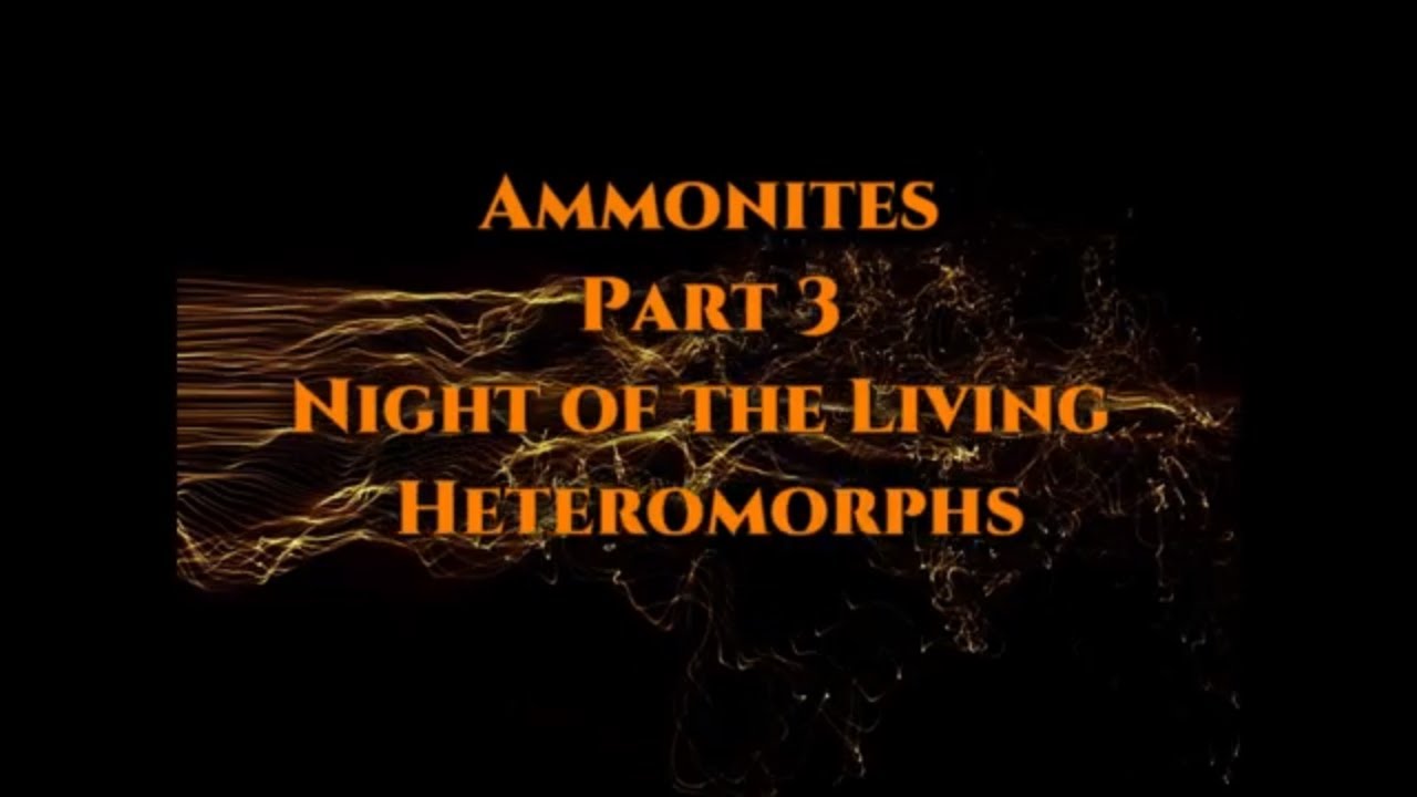 Ammonites part 3, Night of the Living Heteromorphs! - YouTube