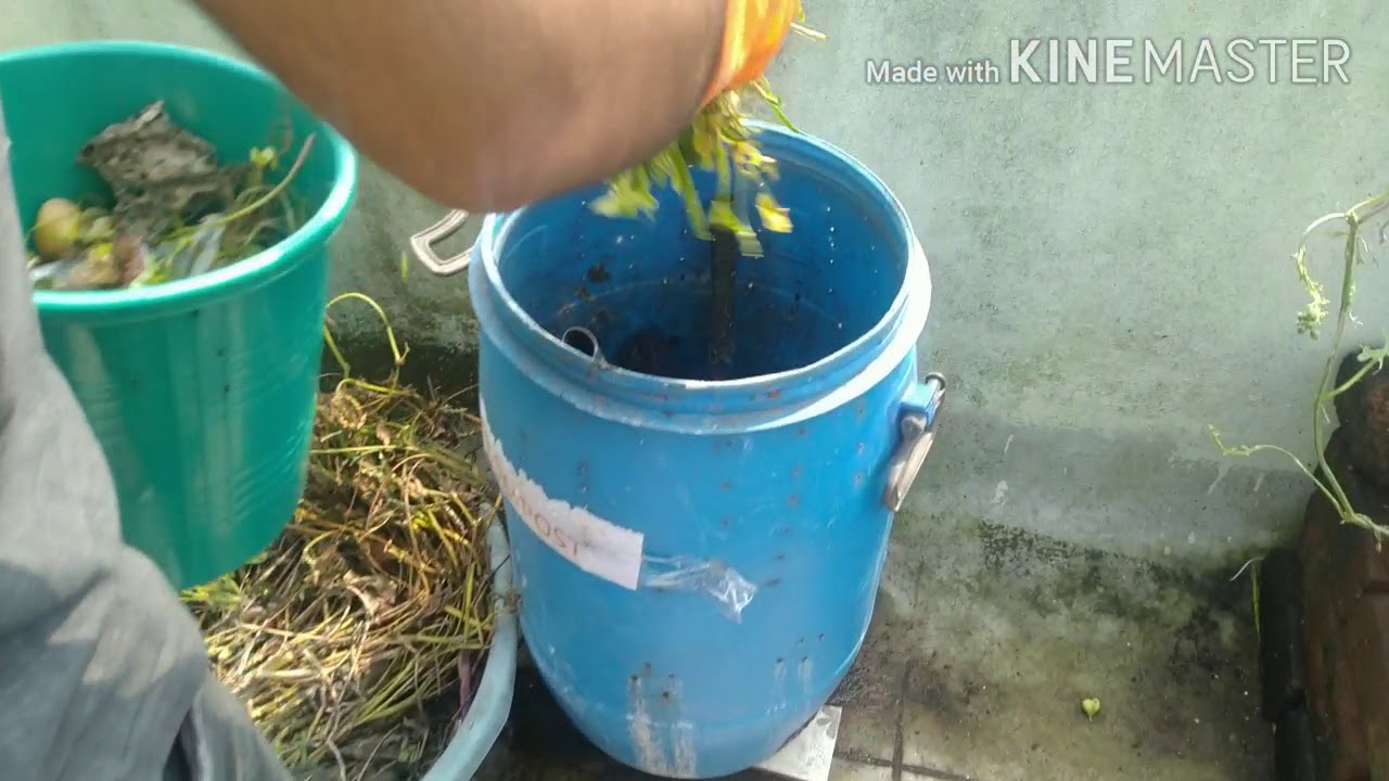 Composting Kitchen Waste At Home Marathi Guide YouTube composting-kitchen-waste-at-home-marathi-guide-youtube