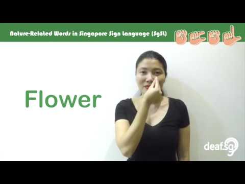 Singapore Sign Language (SgSL) Lesson: Nature-Related Words - YouTube