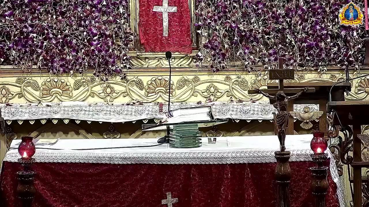 Christmas Day, Wednesday, 25th Dec. 2024. - YouTube