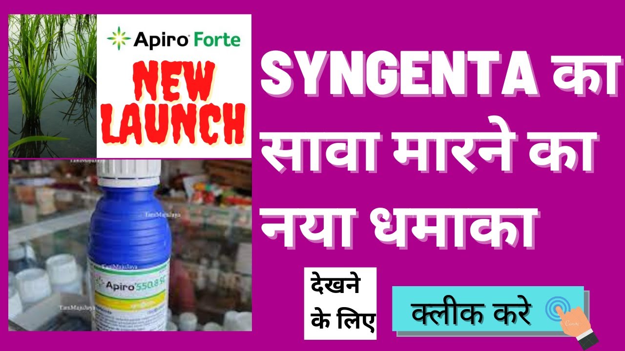 Syngenta Apiro Forte इस खरीफ का नया लॉंच Paddy Herbicide #superkisan ...