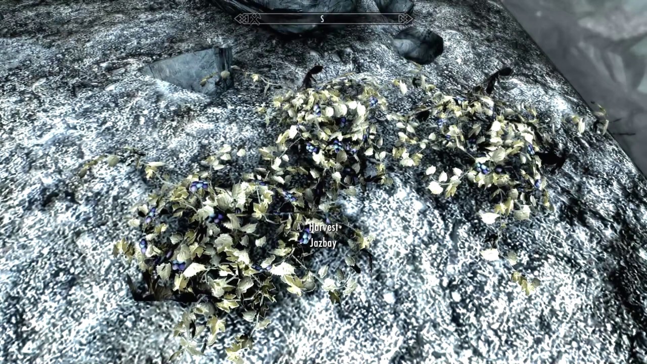 How to get Jazbay Grapes ingredient - Skyrim - YouTube