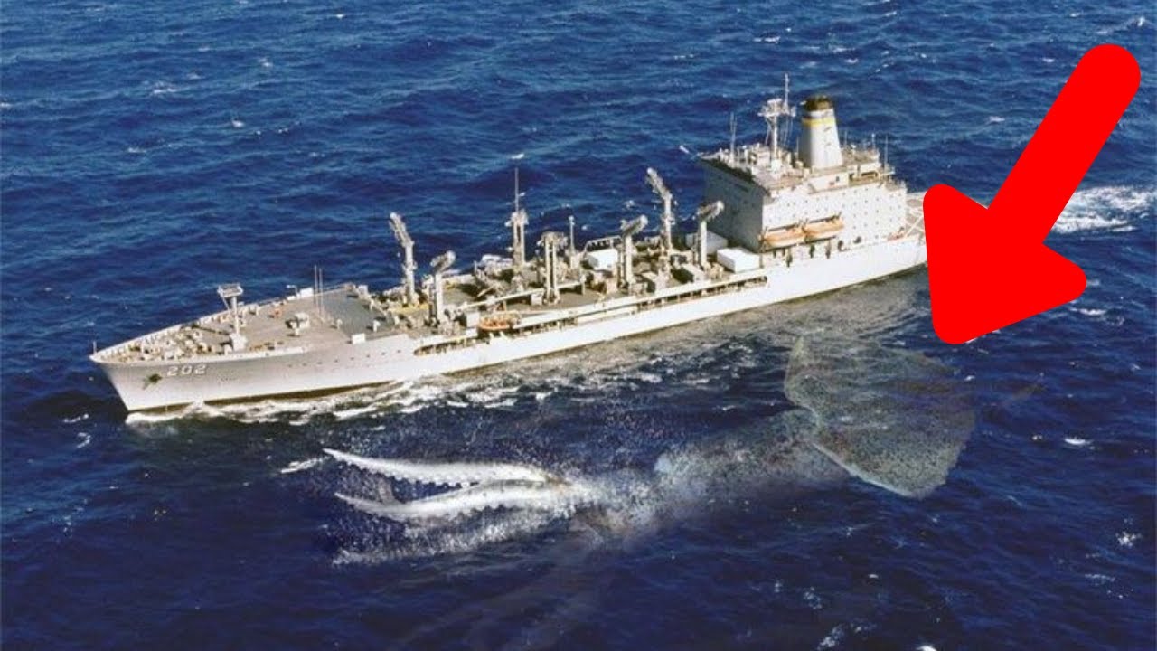 Deep-Sea Cameras Catch Rare Footage Of A ‘Legendary’ Creature - YouTube