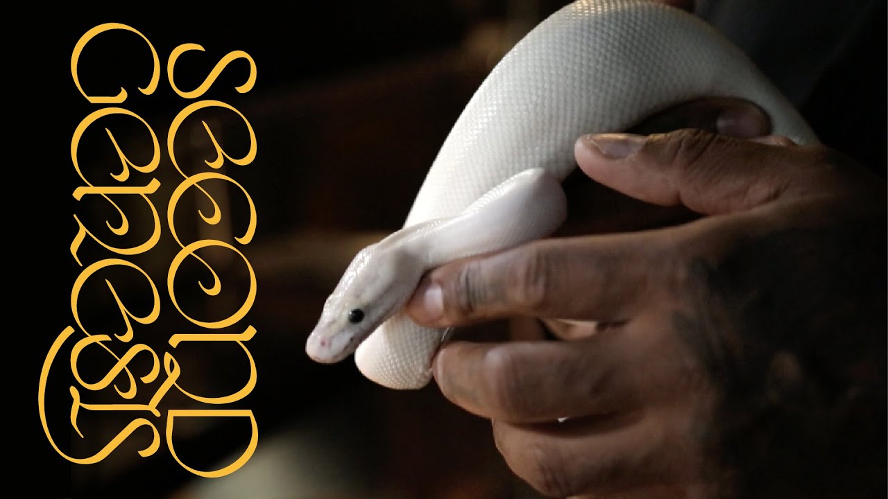 Second Genesis Documentary (Trailer 1) - YouTube