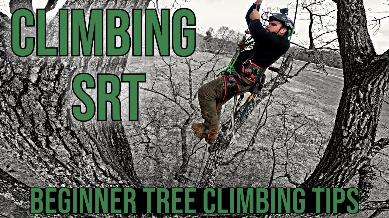 Tree Climbing Beginners Guide To Climbing SRT/SRS - YouTube