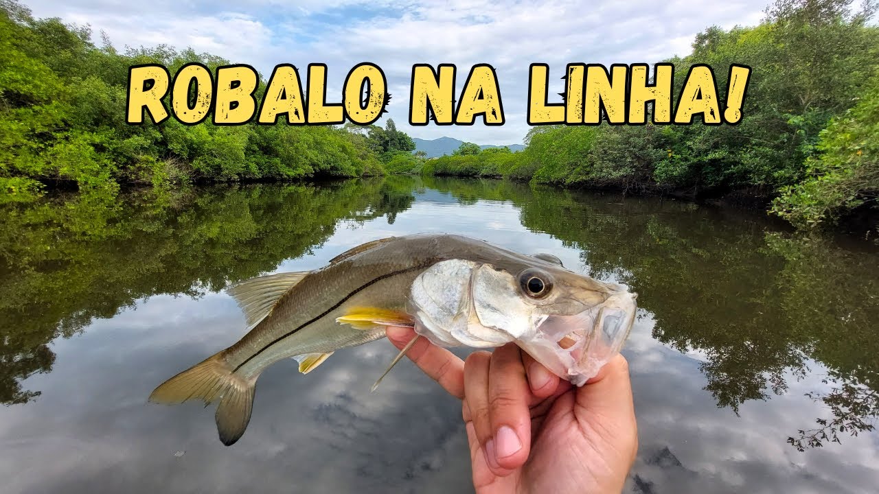 Pescaria de Robalo no Rio Perequê com caiaque! - YouTube