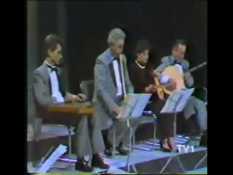 Meral Uğurlu - İncecikten Bir Kar Yağar