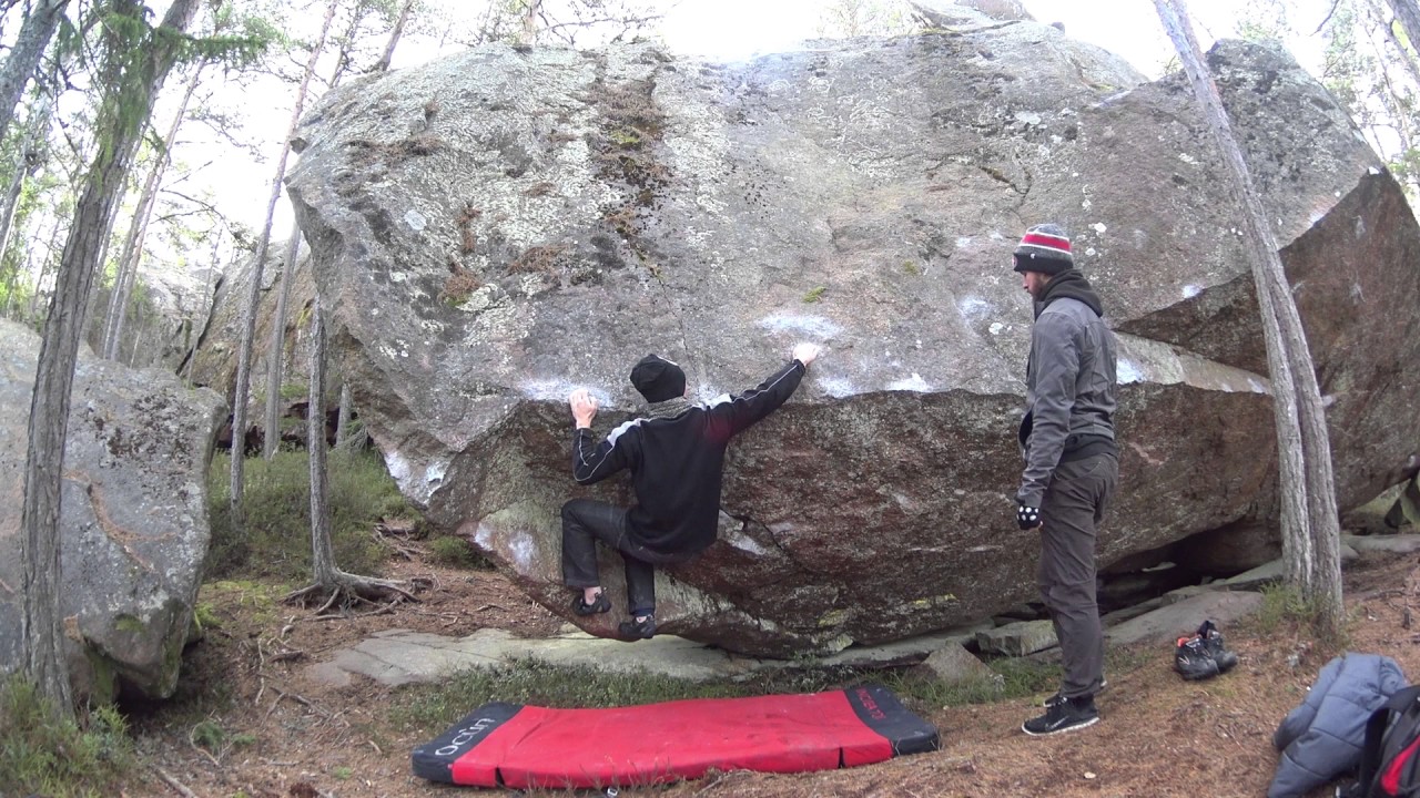 Year of the Monkey 7a Kasviken - YouTube