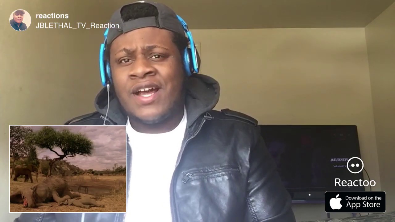 Michael Jackson - Earth Song (Official Video) REACTION - YouTube