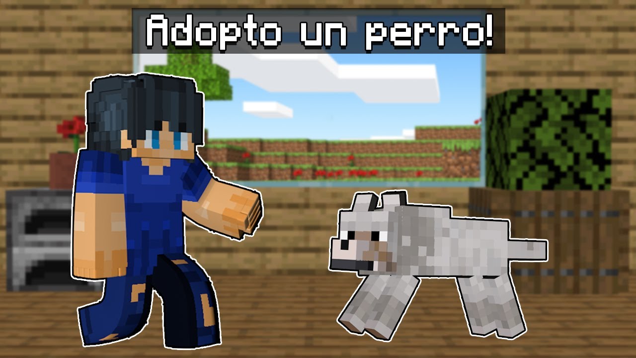 Adopté un Perro de la Calle en Minecraft! - YouTube