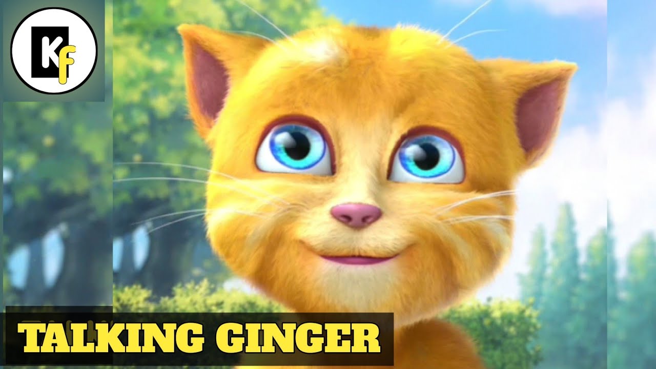 Talking Ginger - YouTube