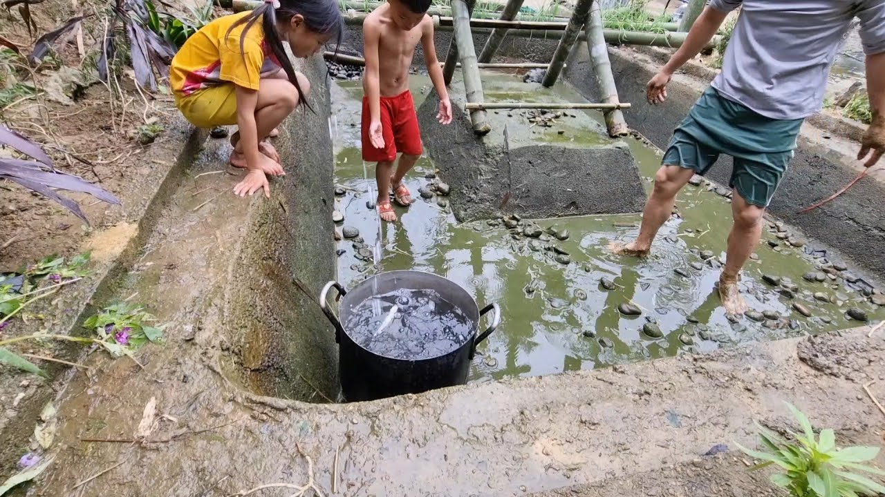 Replace clean water for fish ponds and cook delicious meals from a ...