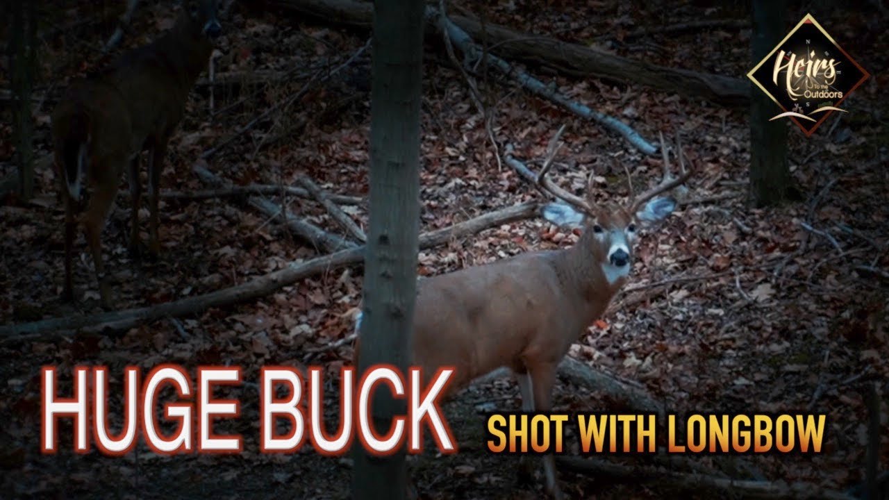 MONSTER BUCK Shot with LONGBOW at 23 Yards! | Deer Season 2022 - YouTube