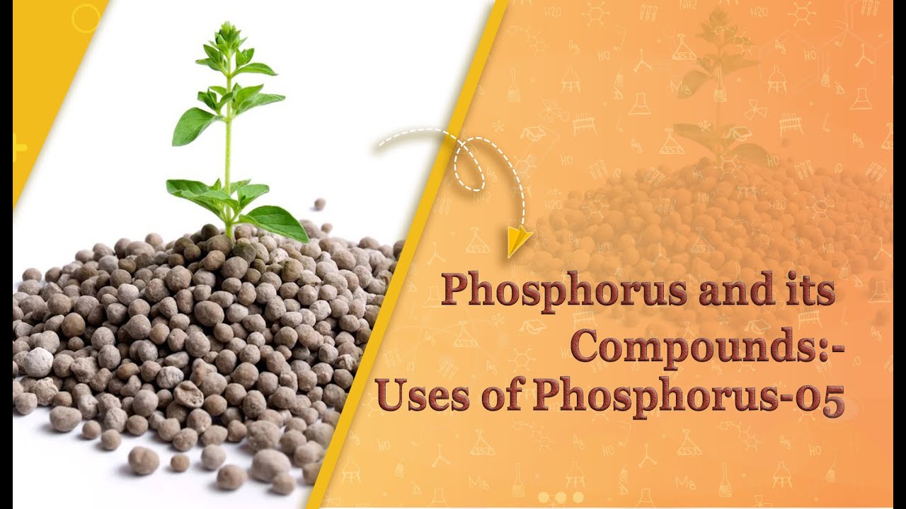 Phosphorus and its Compounds:-Uses of Phosphorus-05 - YouTube