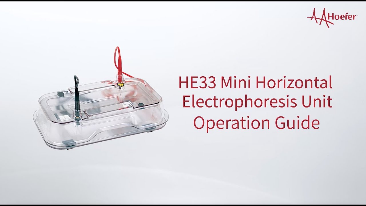 Hoefer HE33 Horizontal Electrophoresis Unit Operation Guide - YouTube