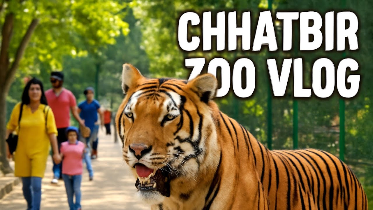 Chhatbir Zoo / Mahendra Chaudhary Zoological Park Vlog || ছাতবীর ...