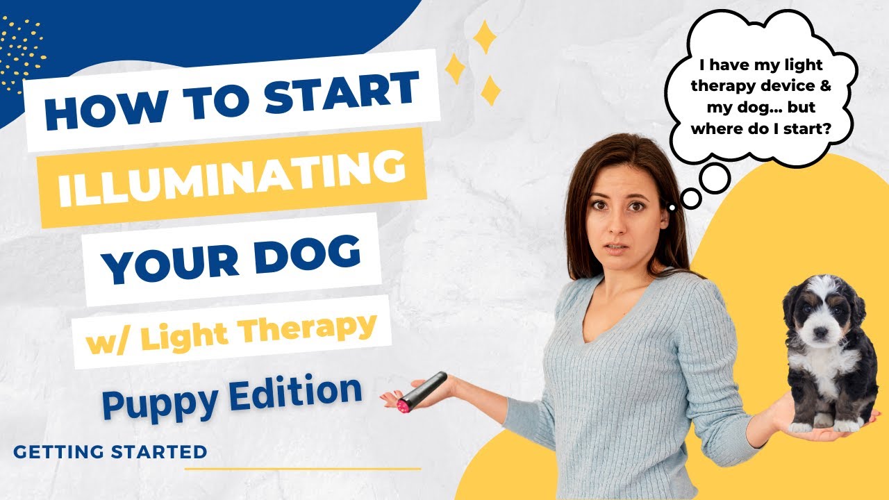 How to Start Illuminating Your Dog with Light Therapy: Puppy Edition ...