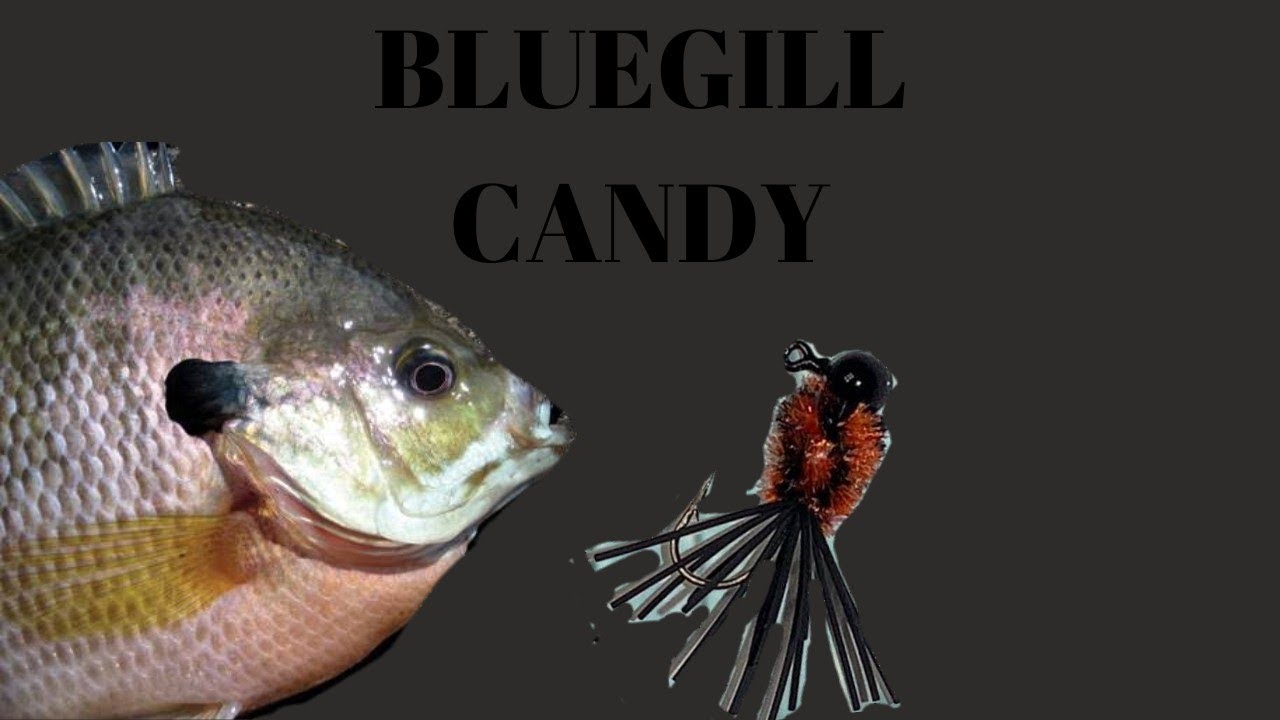Tying the Bluegill Candy Jig | Fly on Spot | Fishing | Tips ...