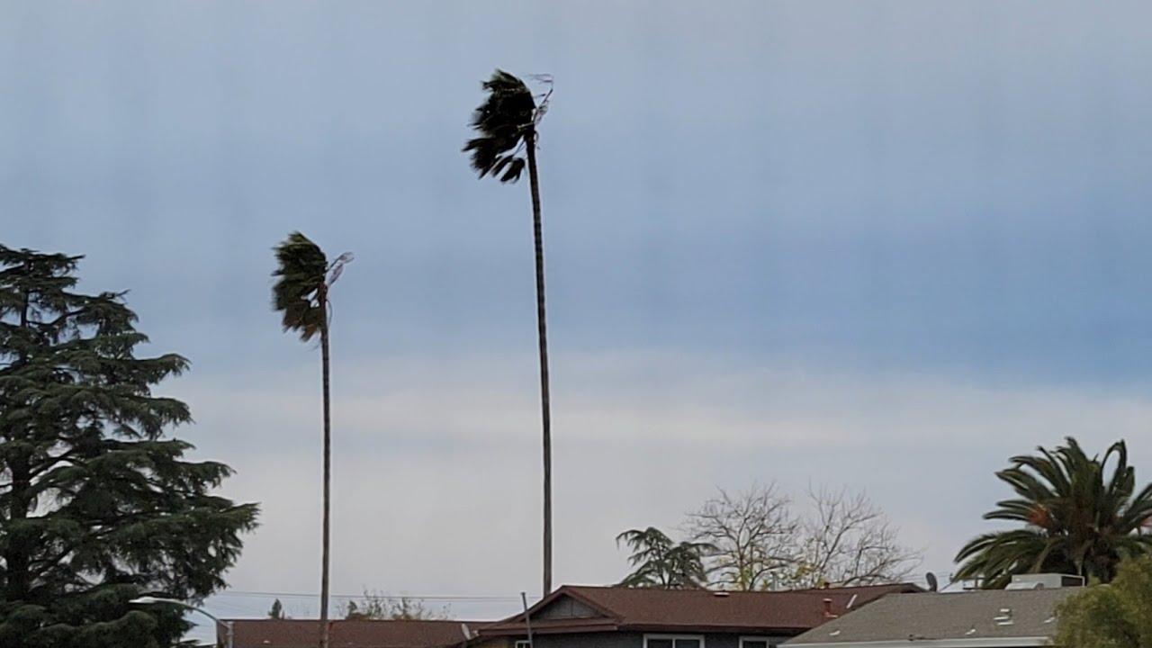 Gusty Windy SE Winds and Cloudy 3:19pm December 15, 2021 - YouTube