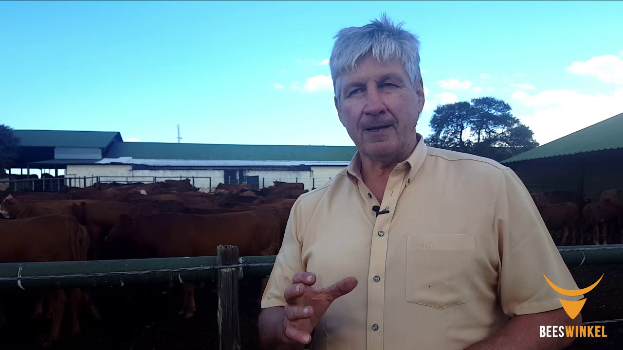 Beeswinkel - Burger Geldenhuys - YouTube