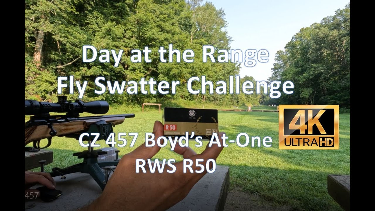 Day at the Range Fly Swatter Challenge Hazzbro's Entry - YouTube