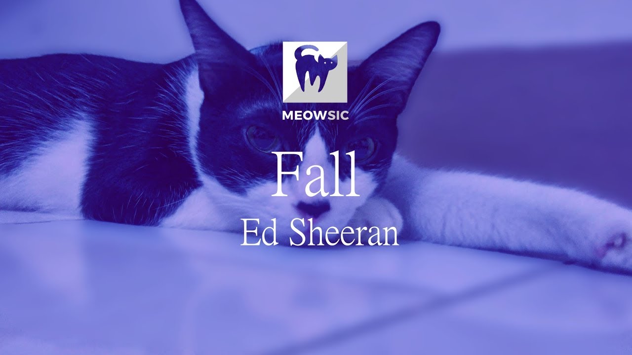Fall - Ed Sheeran (Lyrics) - YouTube