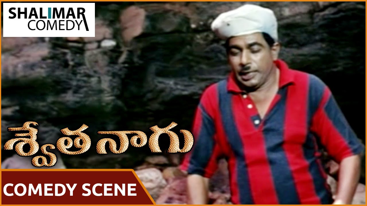 Swetha Naagu Movie || Mallikharjuna Rao Hilarious Comedy Scene ...