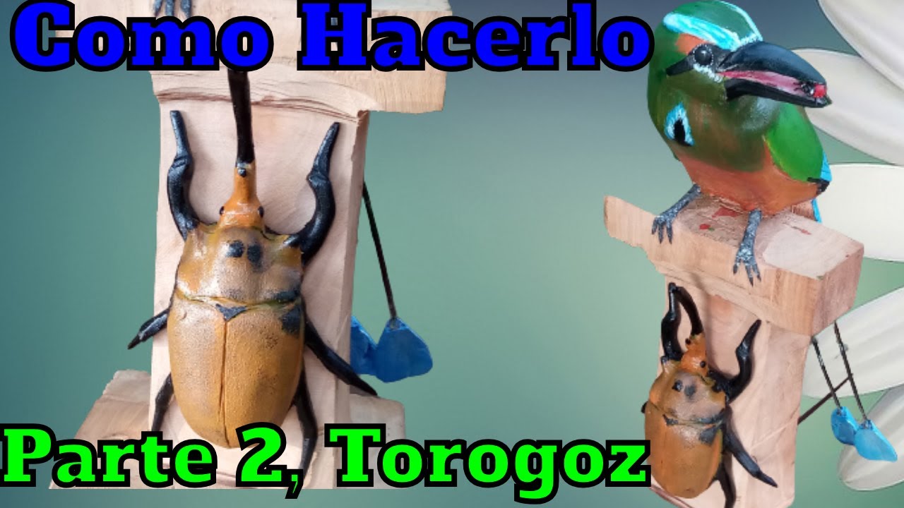 Como Hacer un torogoz, parte final - YouTube